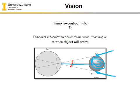 PEP360 module2 lecture2