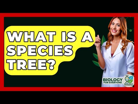 What Is A Species Tree? - Biology For Everyone