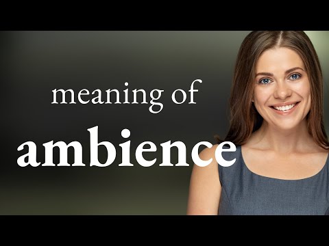 Ambience | AMBIENCE definition