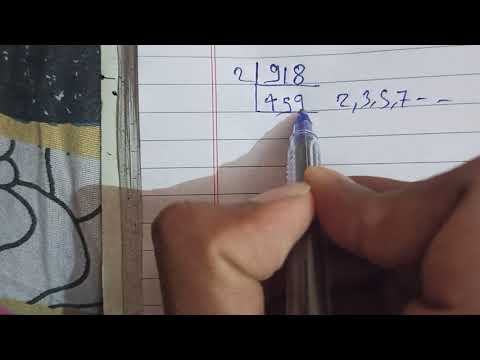 prime factors of 918