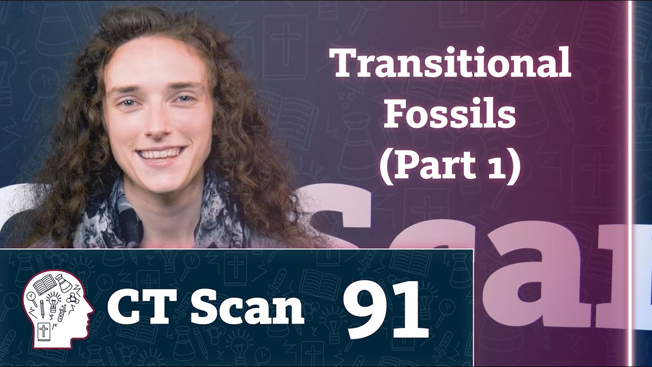 Are transitional fossils evidence for evolution? (Episode 91)