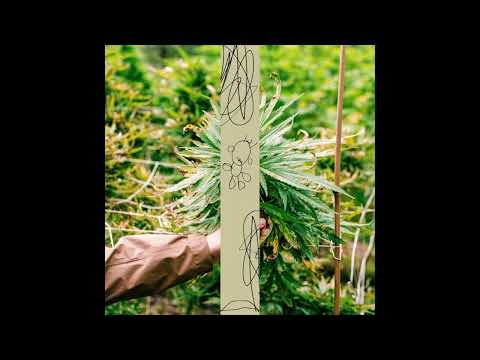 Fermi Lekunde - April (Club Mix)