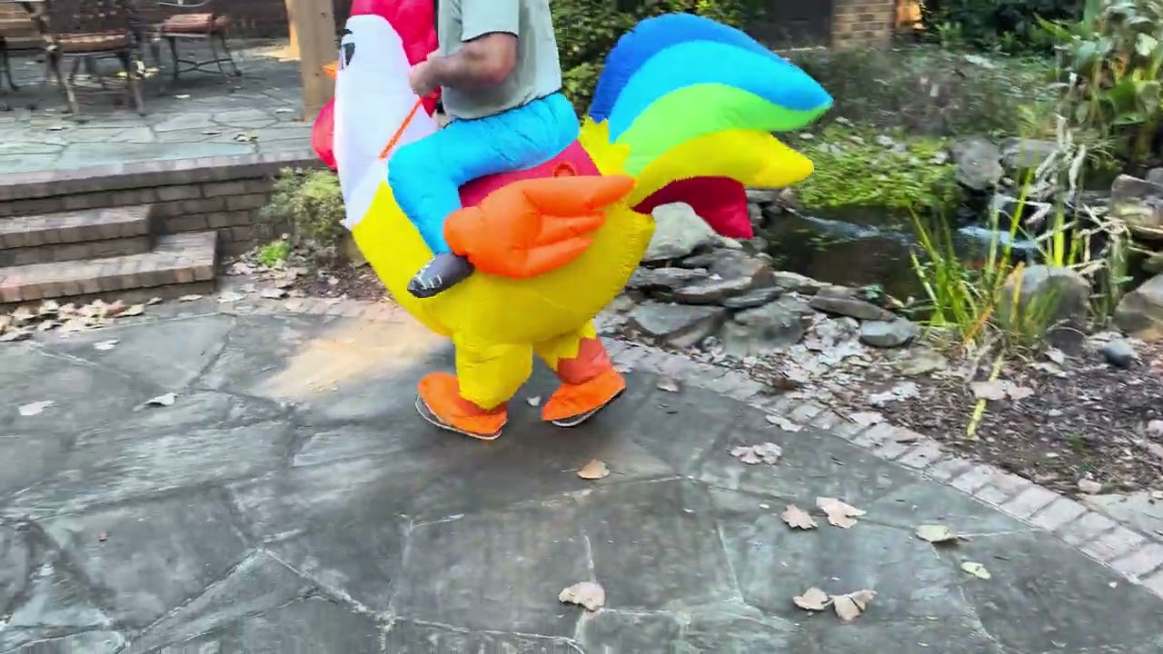 Kooy Inflatable Chicken Costume for Adults