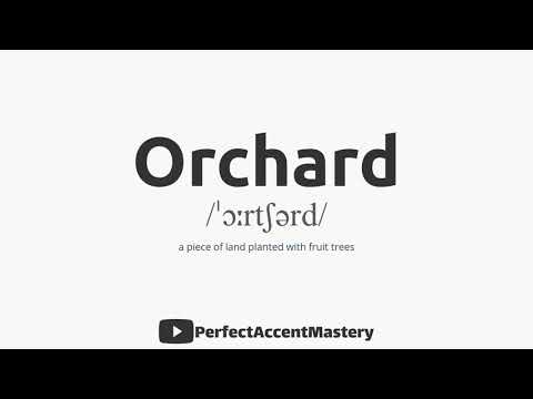 How to Pronounce ORCHARD | IPL | Definition | Perfect Accent Mastery