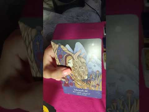 Daily Guidance 10/05/2021 #dailyguidance #oraclereading #dailytarotreading
