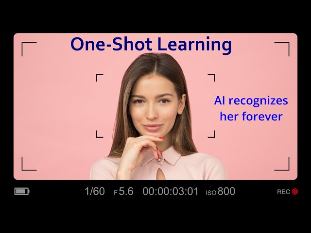 What is One-shot Learning | AI Basics | AI Online Course