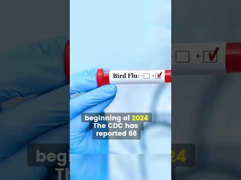 US Records First Human Death from Bird Flu: #uae #news