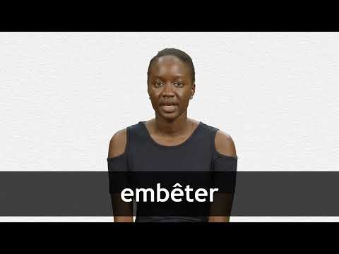 English Translation of “EMBÊTER” | Collins French-English Dictionary