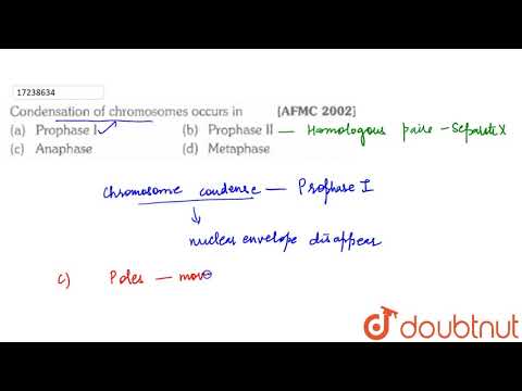 Condensation of chromosomes occurs in