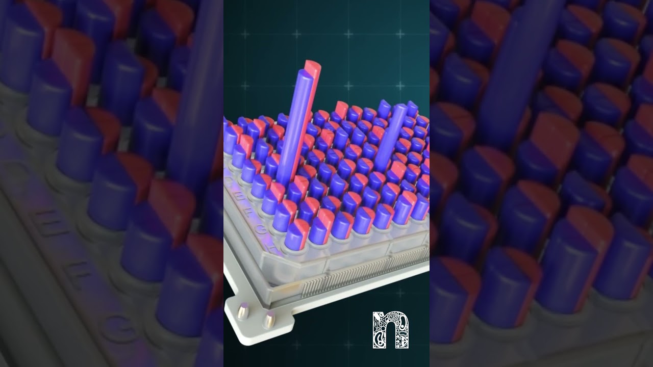 MCLA-128: a HER2xHER3 bispecific antibody with a novel DOCK & BLOCK® | Mechanism of Action (MOA)