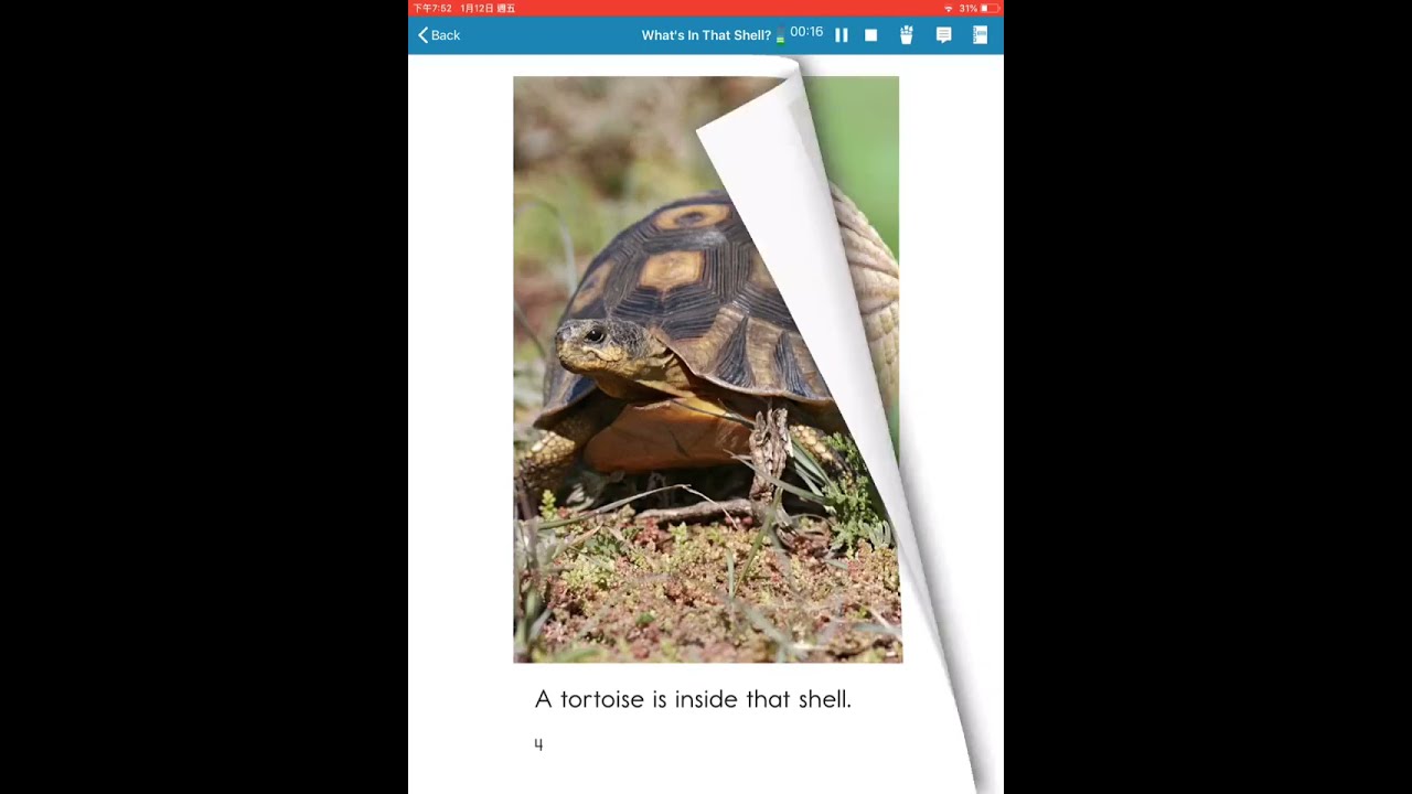 w60 [Raz F ] What’s in That Shell? By Jielin