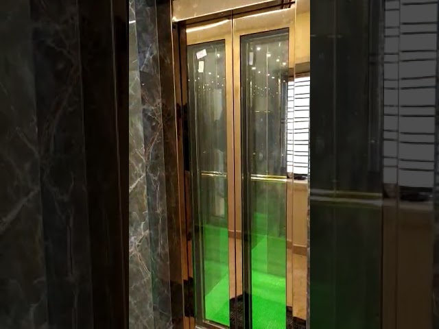 Hotel Passenger Lift - 10 Person Hotel Passenger Lift Manufacturer from ...