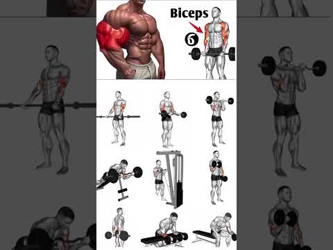 6 Must-Try Bicep Exercises for Massive Size and Peak Definition