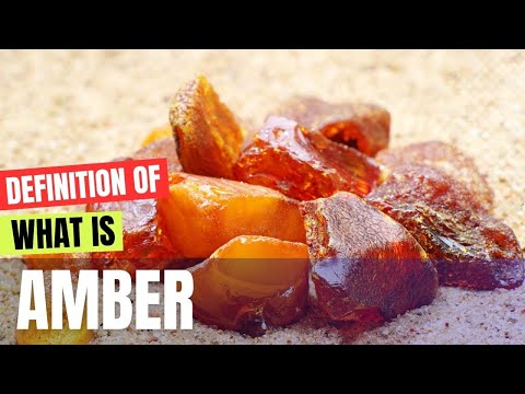 Meaning of Amber:Simple definiton of Amber - What is Amber?