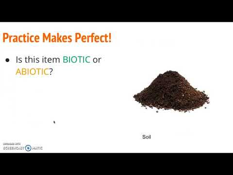 Abiotic vs. Biotic Factors