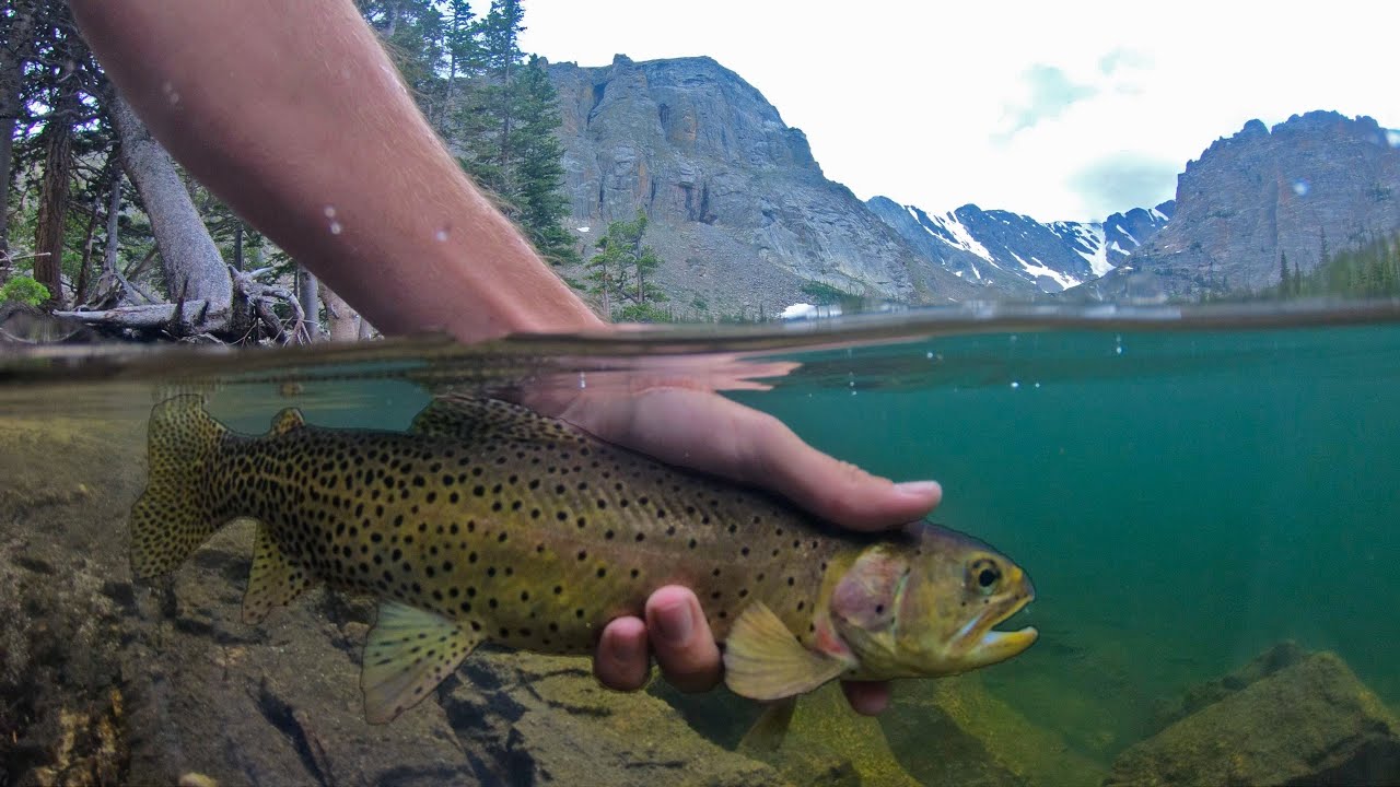 Fly Fishing in Beautiful Alpine Lake!