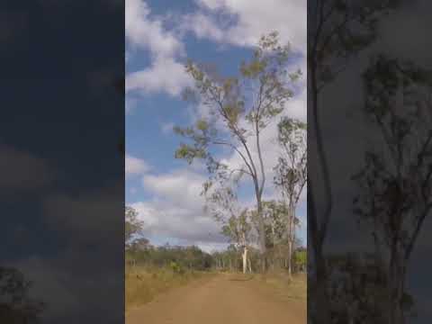 Driving🚙 in the middle of the Cattle Station🐂🐄🐃 Australia 🇦🇺