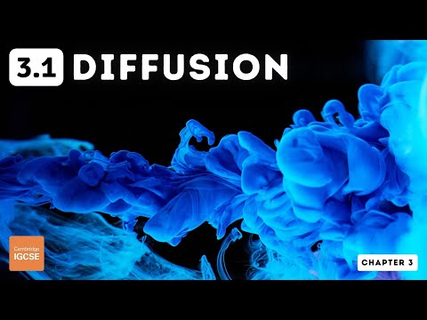 IGCSE Biology - Diffusion (3.1)