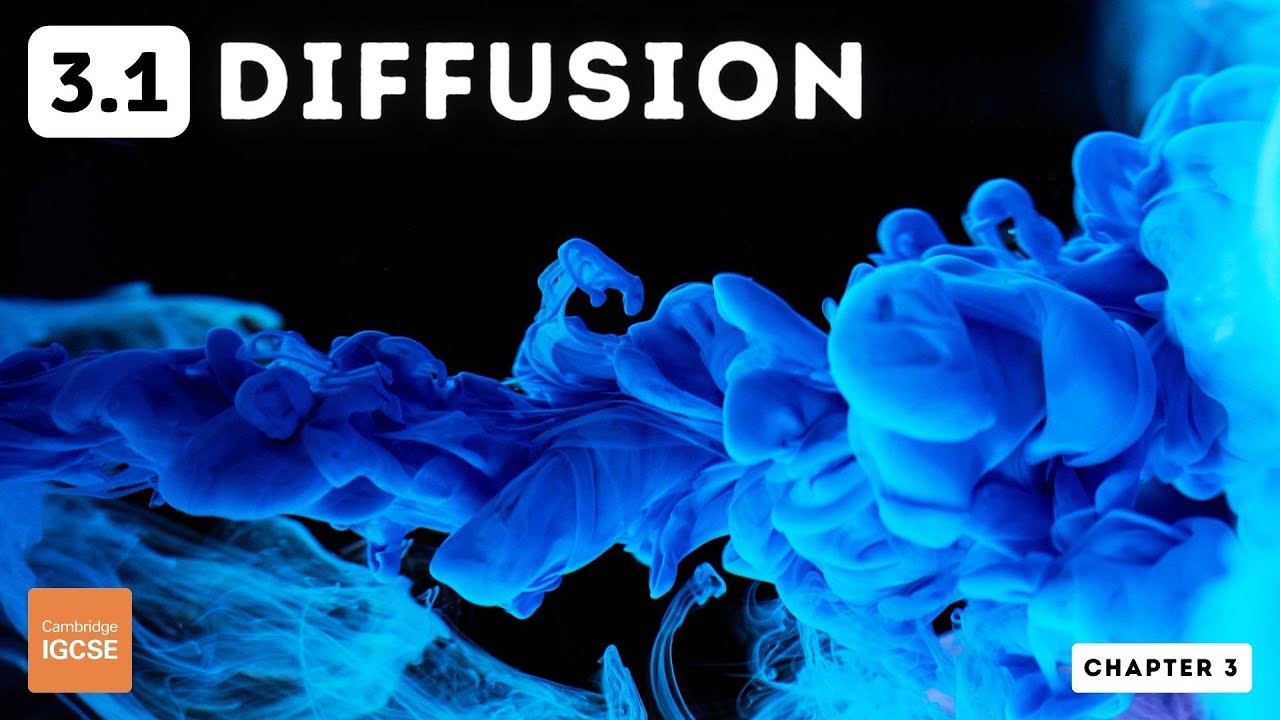 Understanding Diffusion: A Comprehensive Guide for IGCSE Biology ...
