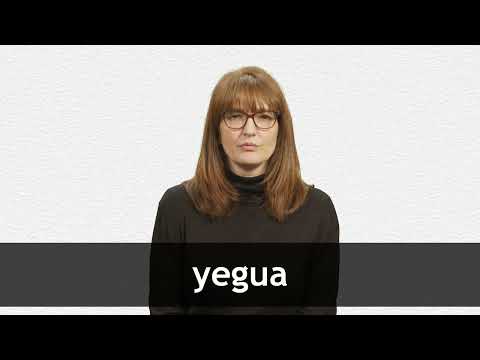 English Translation of “YEGUA” | Collins Spanish-English Dictionary