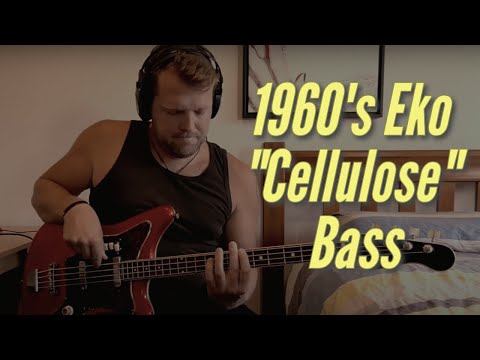 eko bass 1100 1962 Mega Rare Color | Reverb