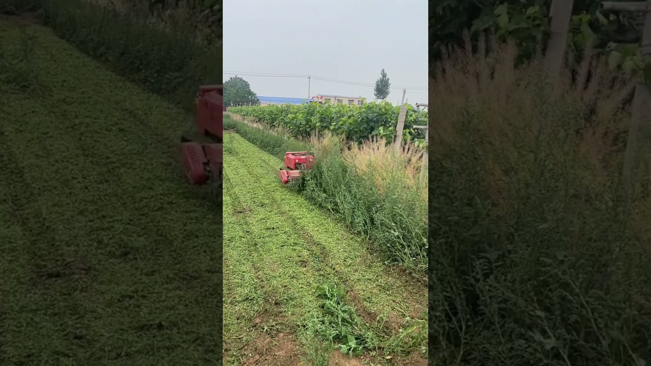 Remote Control Flail Mower | Best Slope Mower for Steep Hills & Rough Terrain #bestinmower