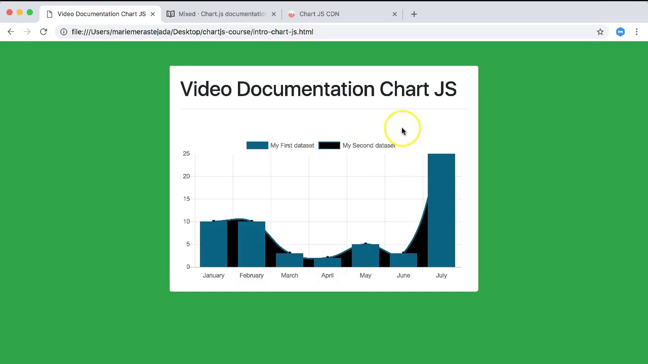 Chart.JS Video Documentation Basic 5