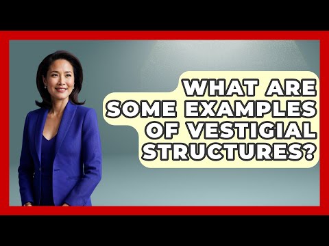 What Are Some Examples Of Vestigial Structures? - The Wild Life Explorer
