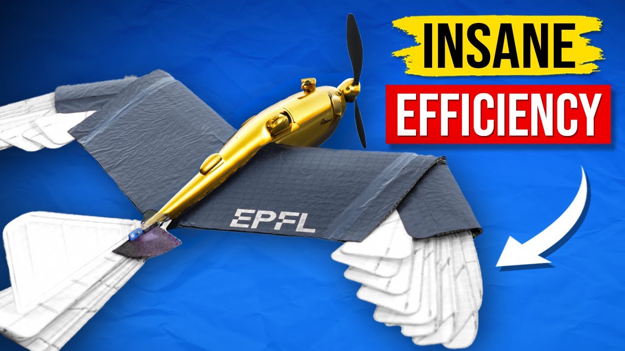 The Future of Flight: Exploring the Genius of Bionic Morphing Wings ...