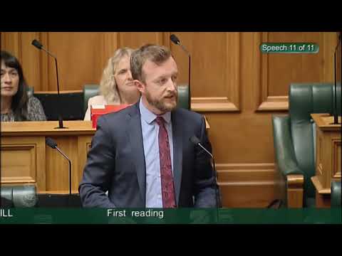 Employment Relations (Triangular Employment) Amendment Bill - First Reading - Video 11