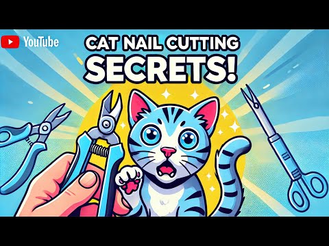 CAT NAIL CUTTING SECRETS Nobody Tells You!