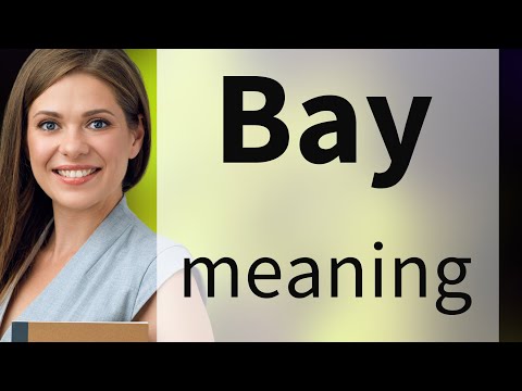 Bay • BAY definition