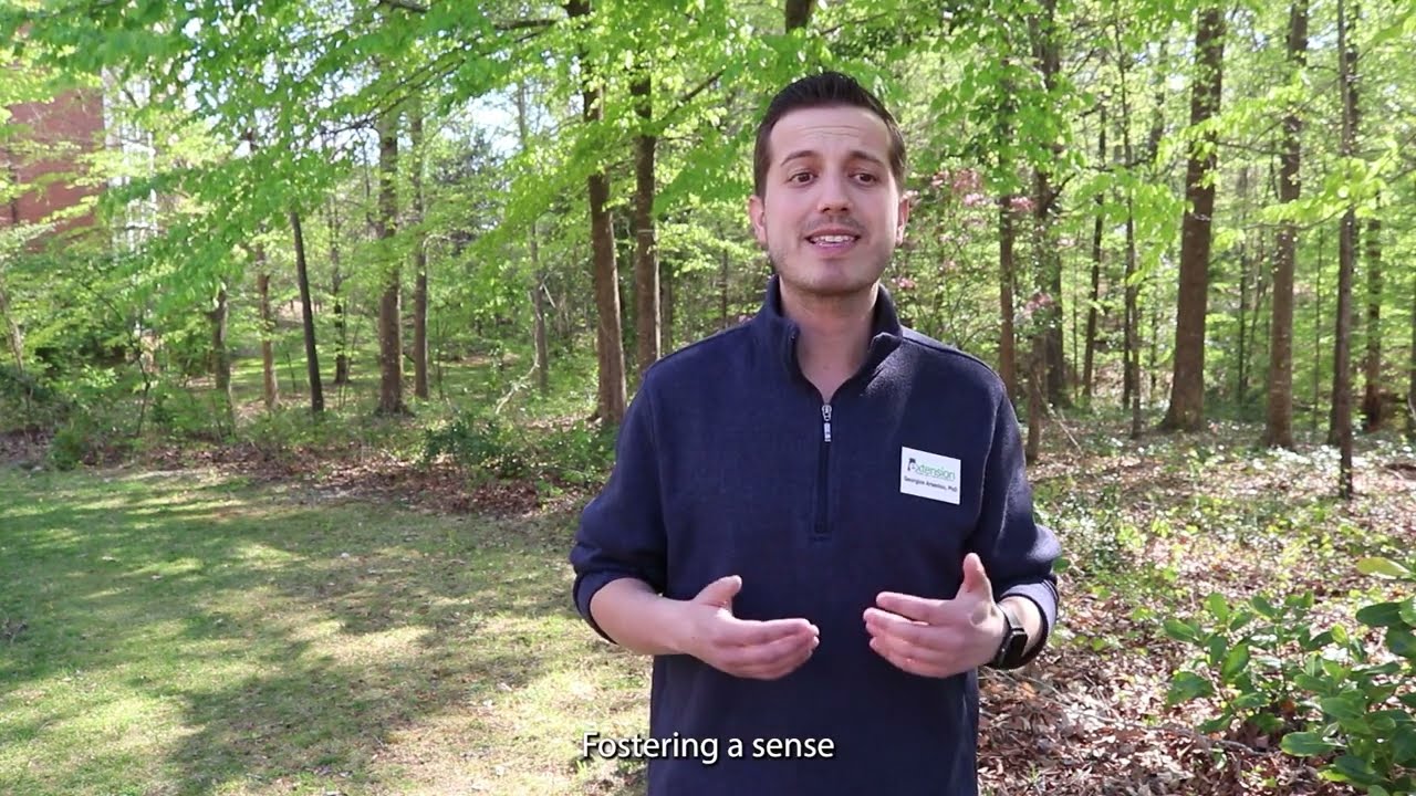 Urban Forest Ecosystem Benefits