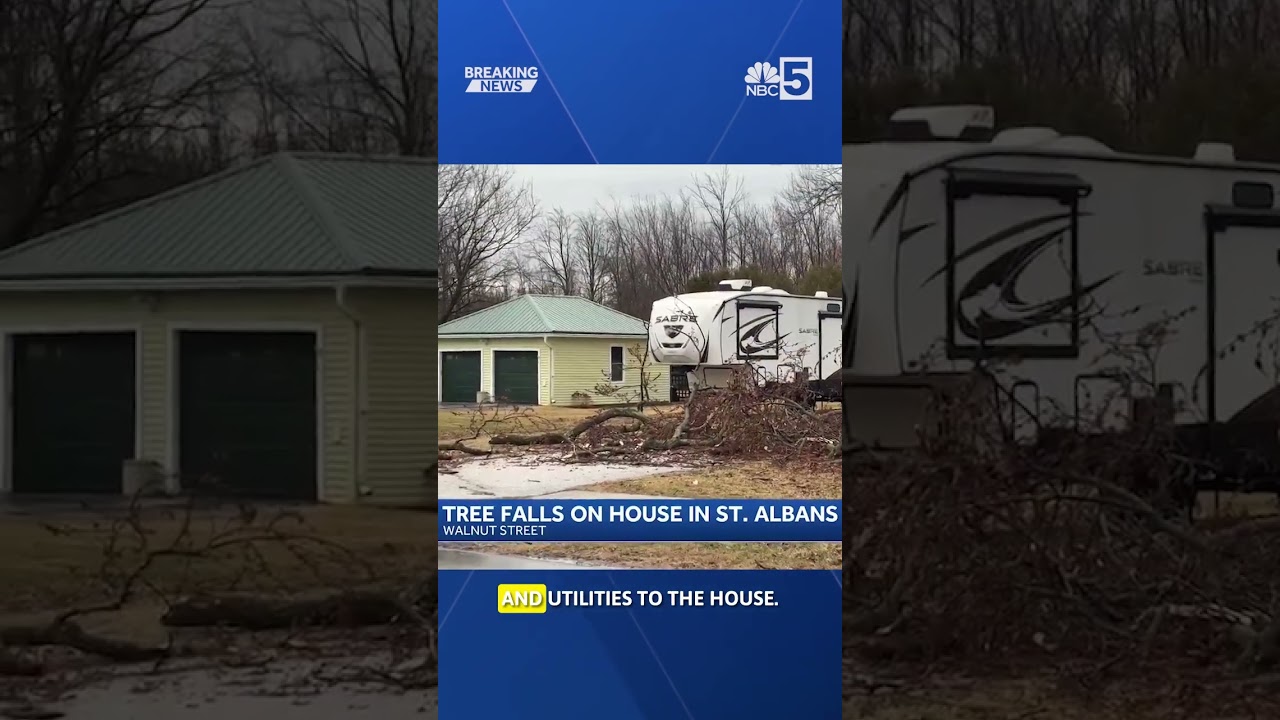 Massive tree falls on home in St. Albans following high winds