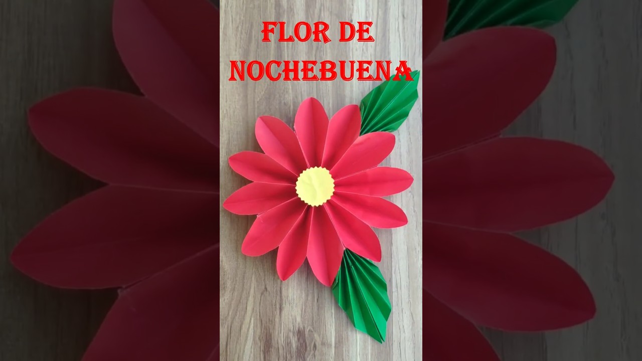Flor de nochebuena