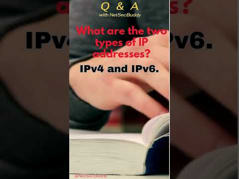 What are the two types of IP addresses?