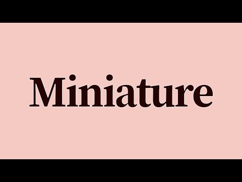 Miniature Meaning and Definition