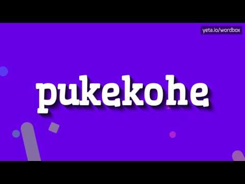 PUKEKOHE - HOW TO PRONOUNCE IT!?