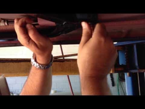 IMG 1528