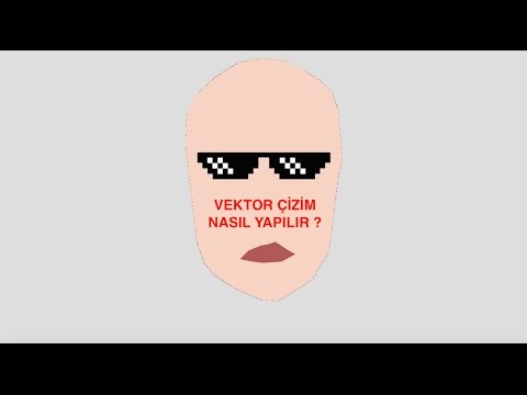 Vector çizim Nasıl yapılır ?