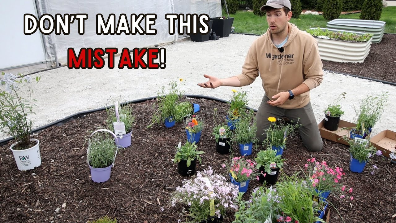 Things to AVOID If You Are Attracting Pollinators to Your Garden!