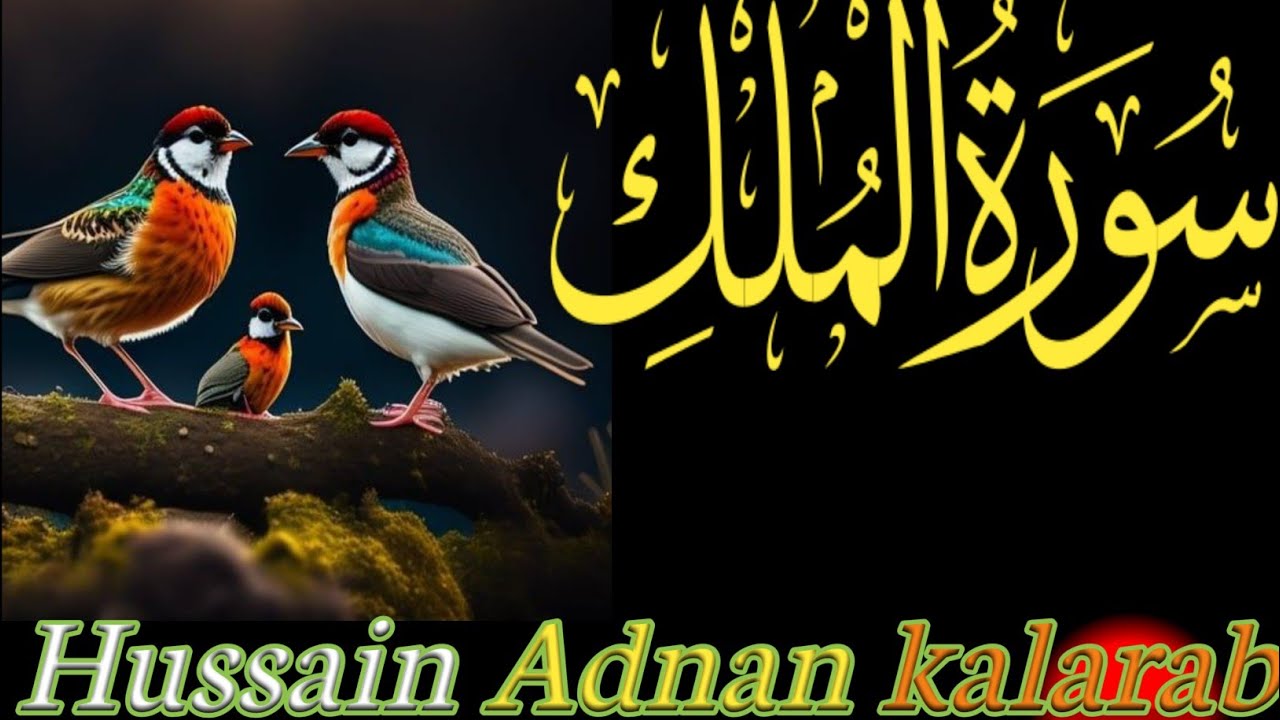Husain adnan kalarab surah al mulk