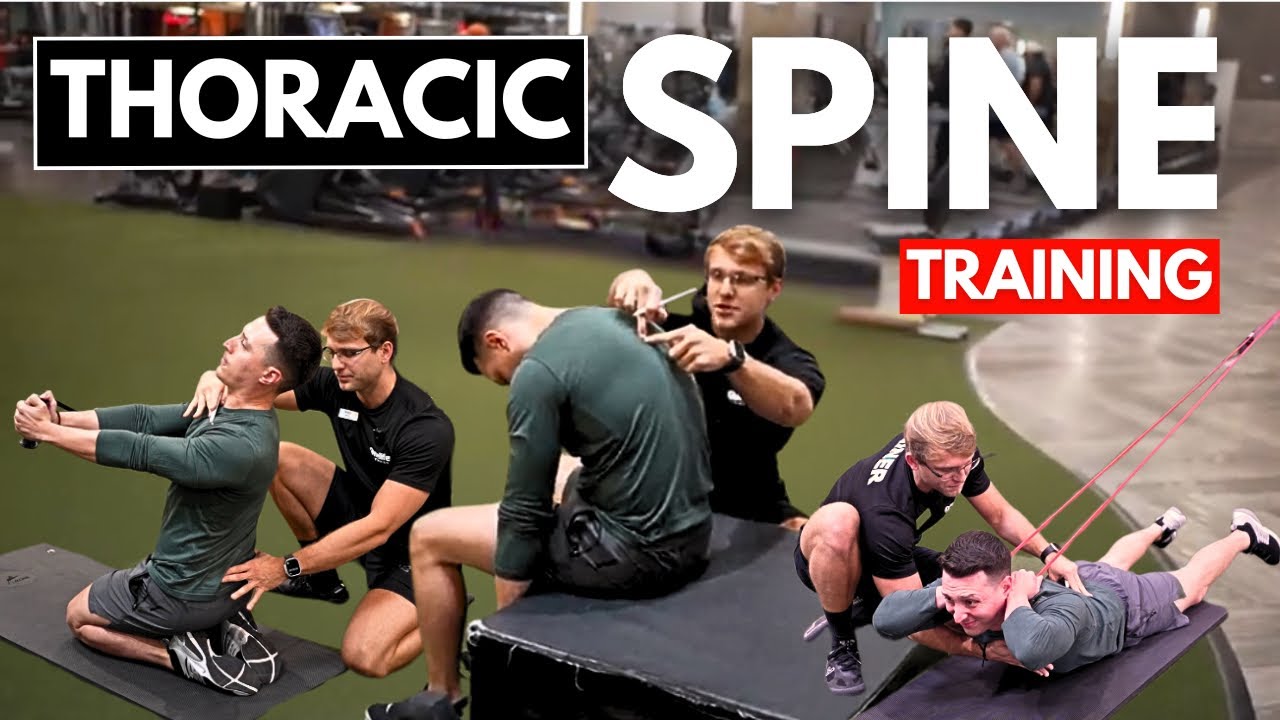 Thoracic Spine Mobility: Flexion, Extension & Rotation
