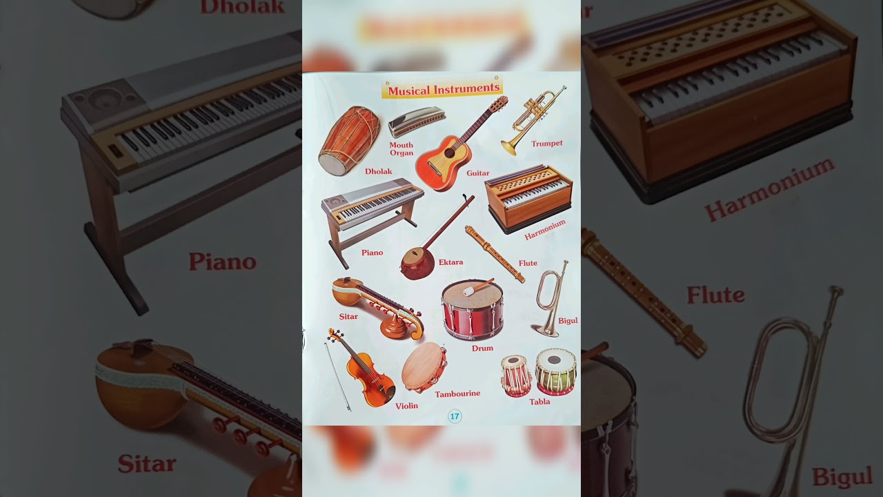 Musical instruments Name \\ 10 Musical Instruments Name In English #shorts #short #youtubeshorts