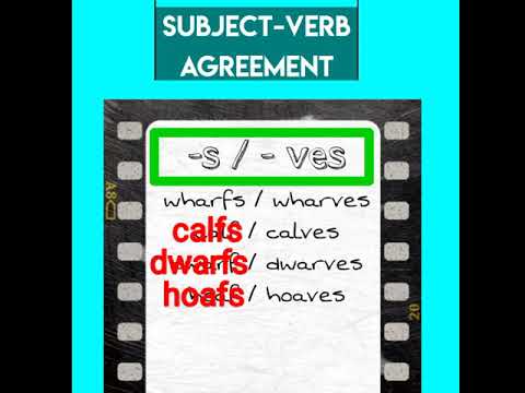 SOME NOUNS ENDING IN F/FE CAN EITHER CHANGE F/FE TO V THEN ADD -ES OR SIMPLY ADD -S | SV AGREEMENT