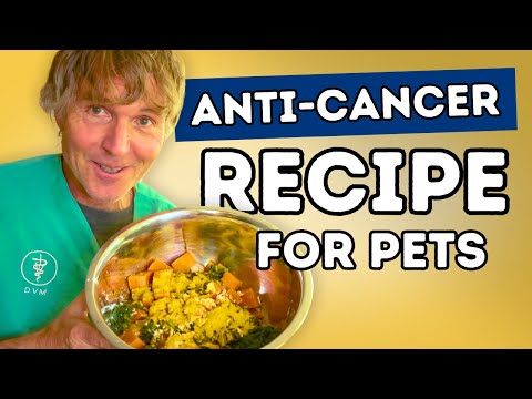 Powerful Anti-oxidant and Cancer Fighting Recipe