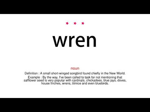How to pronounce wren - Vocab Today
