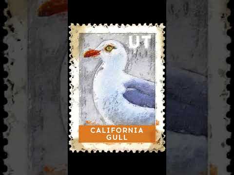 What is the state bird of Utah?