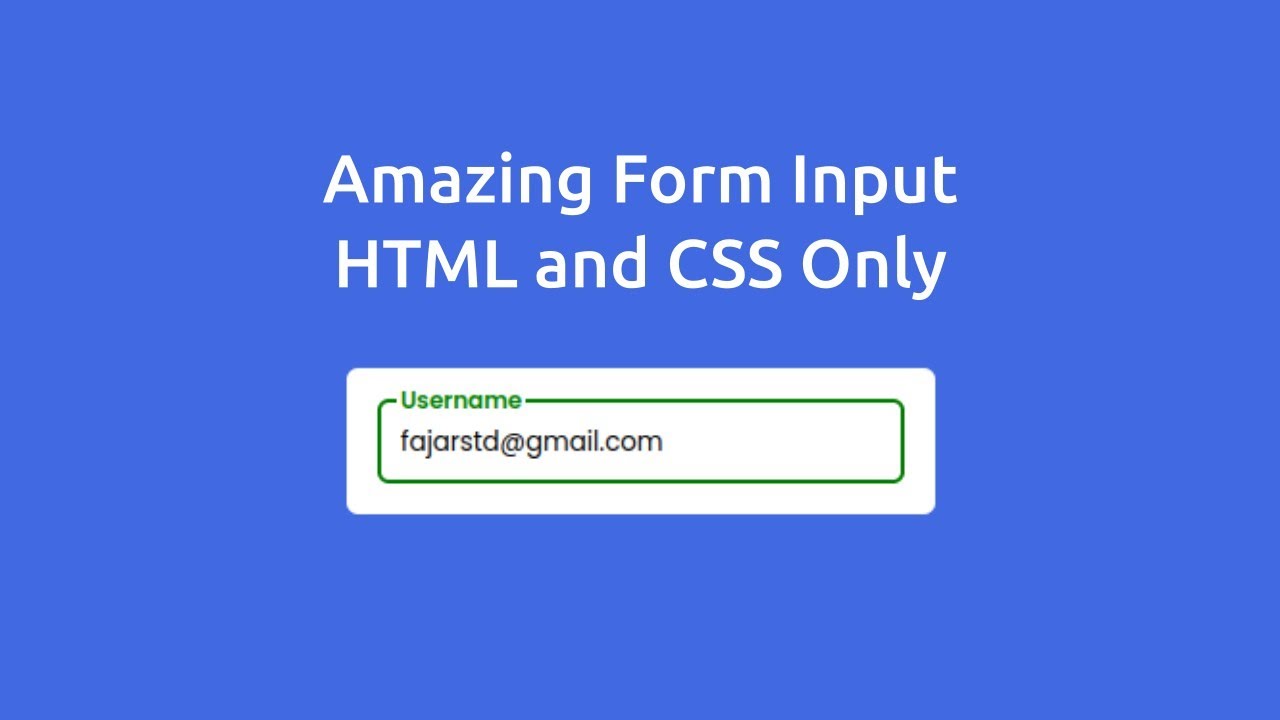 INPUT FORM LIKE GOOGLE FORM HTML AND CSS ONLY #shorts