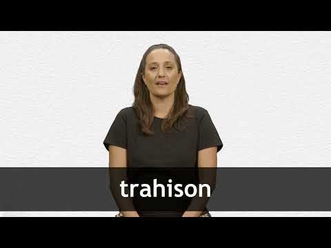 English Translation of “TRAHISON” | Collins French-English Dictionary